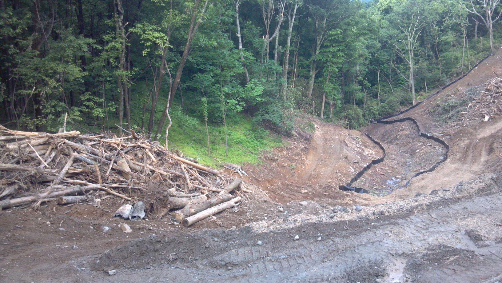 Site Grinding Riverside Stump Dump - The Mulch Lady